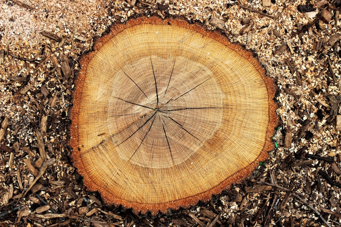 Circulariteit - Van den Berg Hardhout
