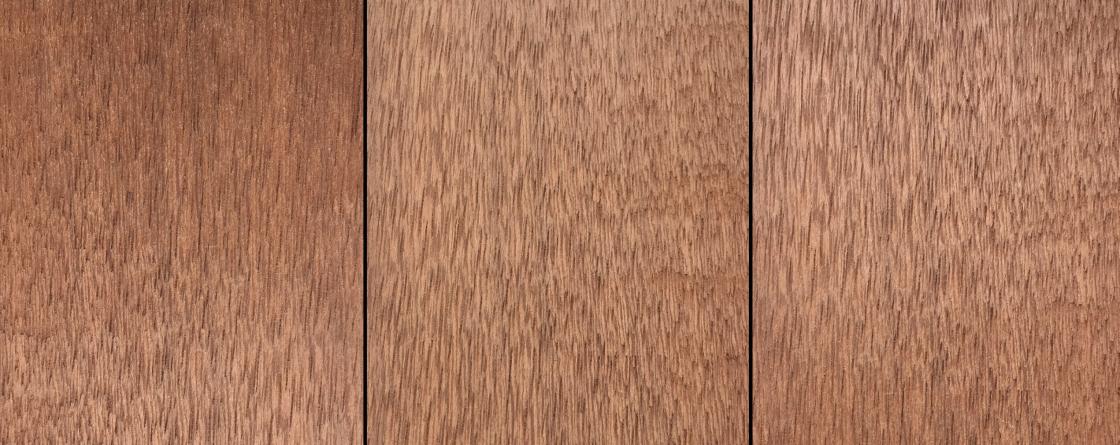 Cambara (Quarubarana) wood - Van den Berg Hardhout