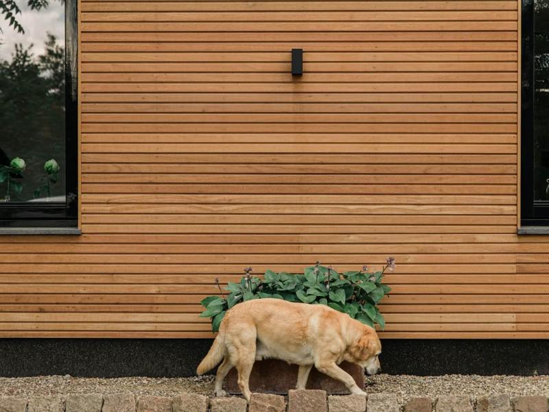 Red Louro Gamela FSC Hardwood - Van den Berg Hardhout